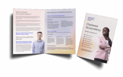 Become a Chartered Accountant - Become a Chartered Accountant
